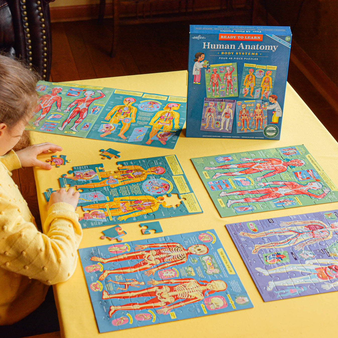 Human Anatomy 48 Piece Puzzle Set Unique Educational Gift for Kids 5 ...